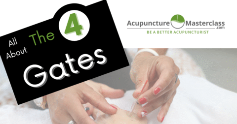 The "Four Gates" - Acupuncture Masterclass